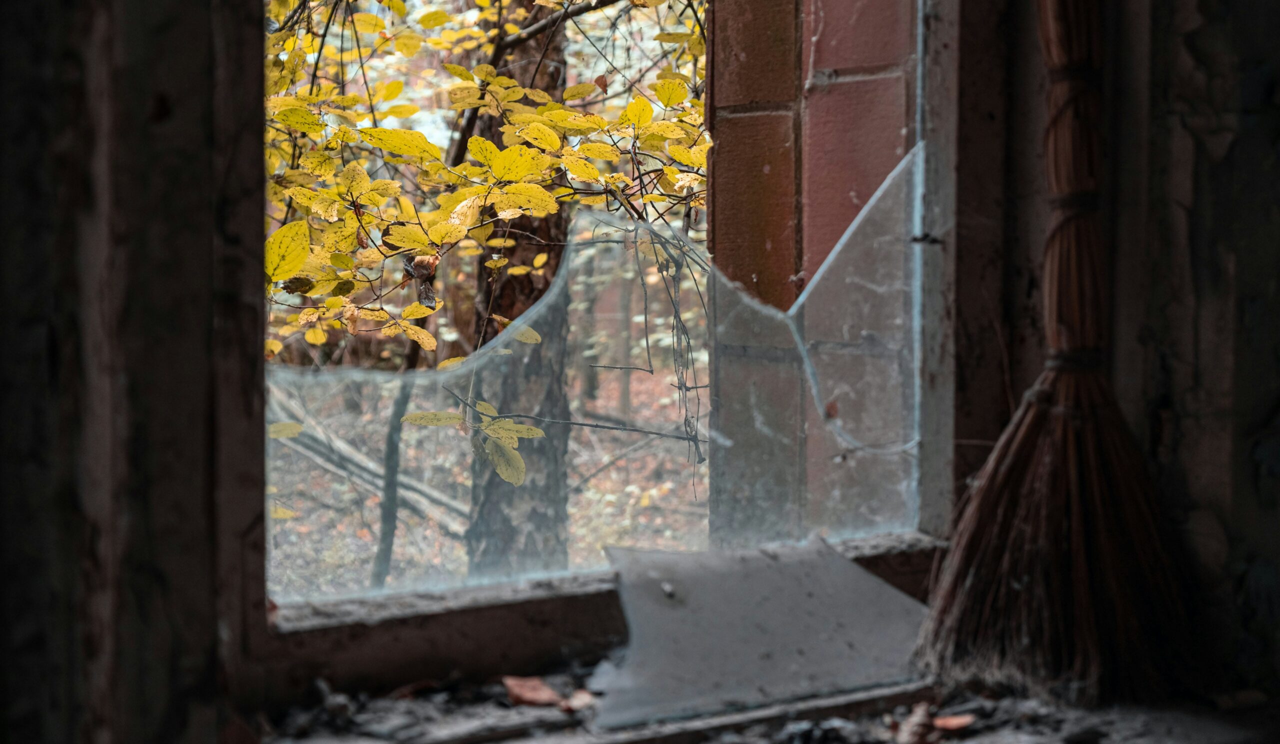 December 15 – Join The Movement